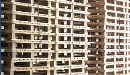 PalletOne Inc. Management | Our Team Leaders Drive Success