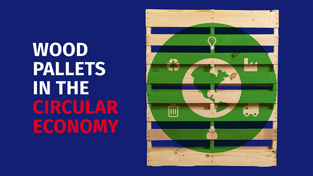 Sustainability: How Do Wood Pallets Stack Up in the Circular Economy? 1 ...