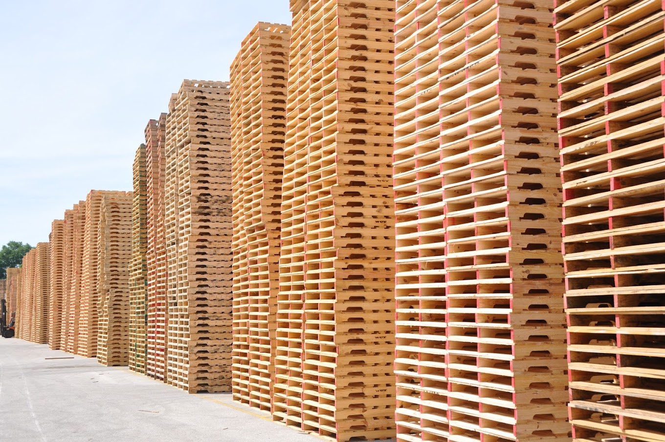 Pallet Company in Maine | Wood Pallet Supplier & Manufacturer